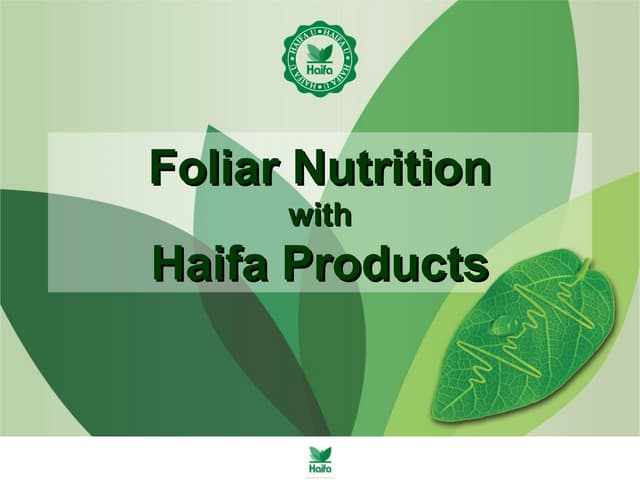 foliar application nutrients to plant.pptx