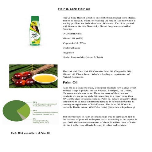 Hair and care | Oil Composition | Assignment | DOCX
