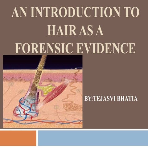 Hair as a forensic evidence | PPT