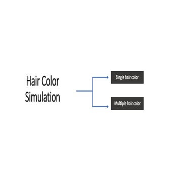 Real-time Hair Color Simualtion | PPT