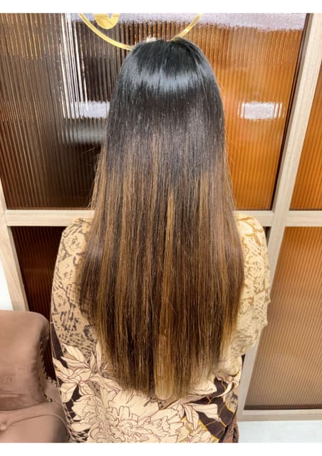 hair colour in HSR layout | hair colour in HSR | PDF