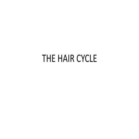 Anatomy of hair and hair cycle | PPTX