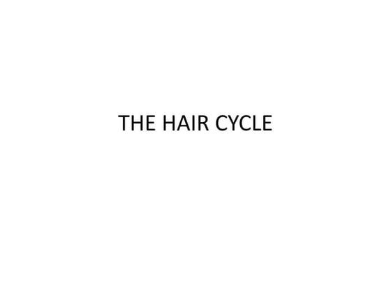 Anatomy of hair and hair cycle | PPTX | Hair Care | Beauty