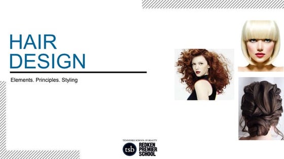Lesson plan principles of hair design | PDF