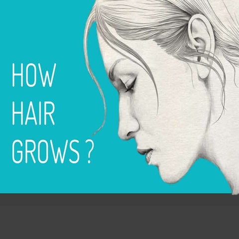 Structure of hair | PPTX