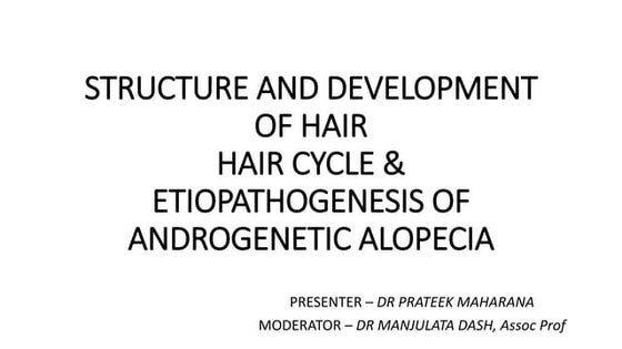 Structure of Hair and Hair growth cycle | PPTX | Hair Care | Beauty