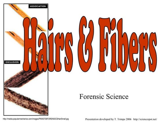 Forensic examination of hair | PPTX