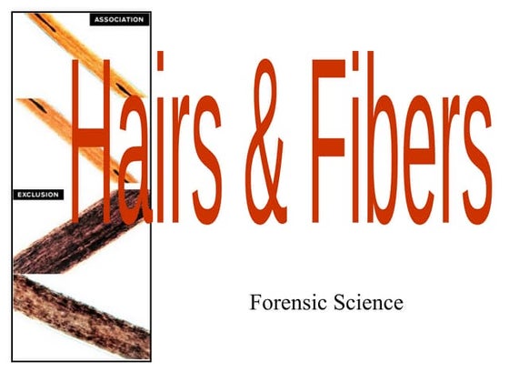 Hair as a forensic evidence | PPT