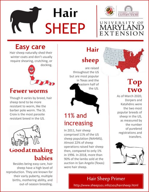 University of maryland extension small ruminant program