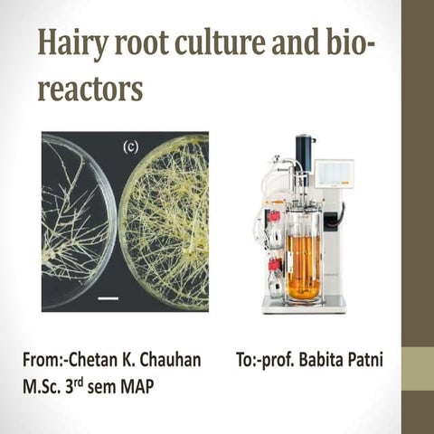 Hairy root culture_and_bio-_reactors | PPTX