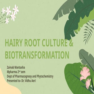 Hairy Root Culture and Biotransformation.pptx