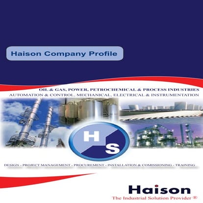 Hai Son Company Profile | PDF