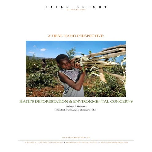 Haiti Deforestation - A Short Update | PDF