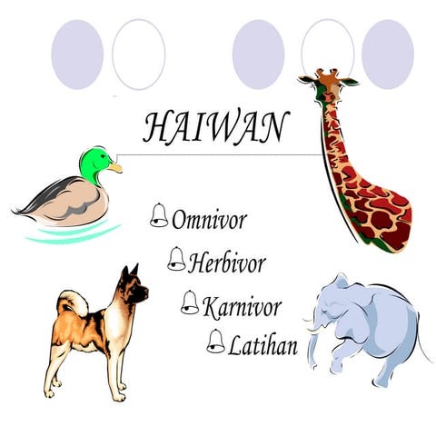 Haiwan | PPT
