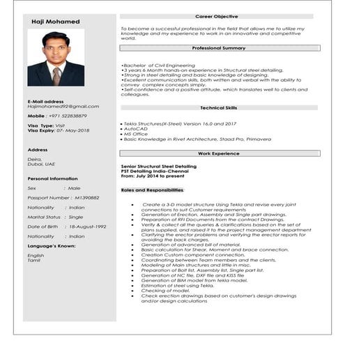 Haji mohamed (steel detailer) new | DOC