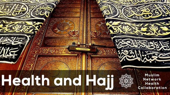 WingRiders Flyer Color PDF | PDF