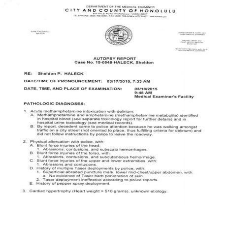 Post mortem report | PDF