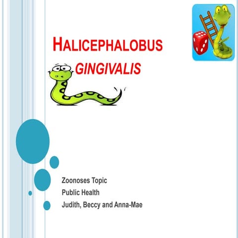 Halicephalobus gingivalis snakes and ladders | PPTX