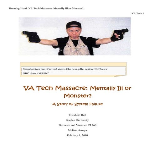 Hall Elizabeth Unit Five Va Tech Massacre Mentally Ill Or Monster | DOCX