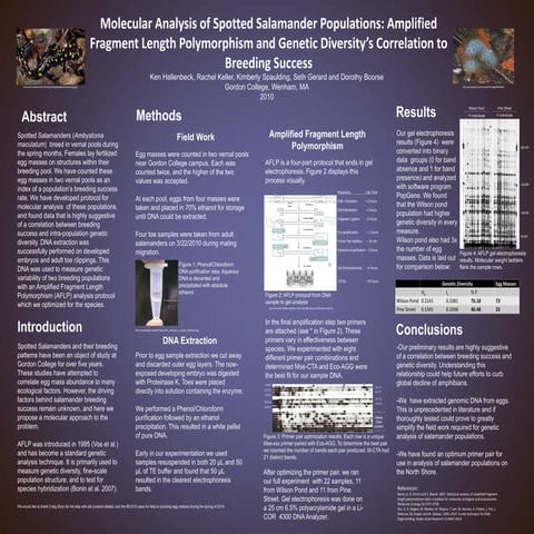 Research Poster Design | PDF | Biological Sciences | Science
