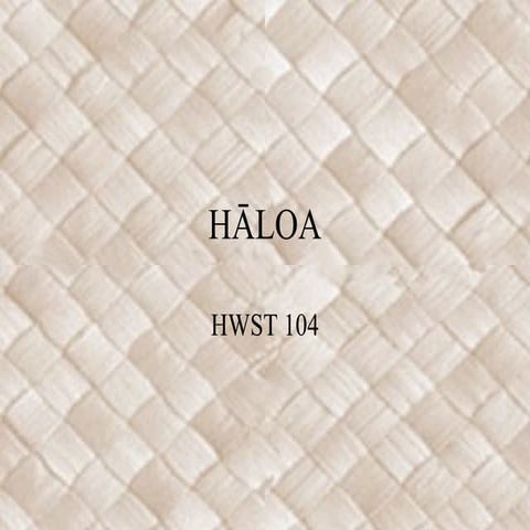 Haloa HWST 104 | PPT