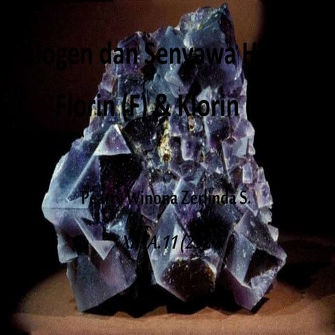 Halogen flourin&klorin-peatty | PPT