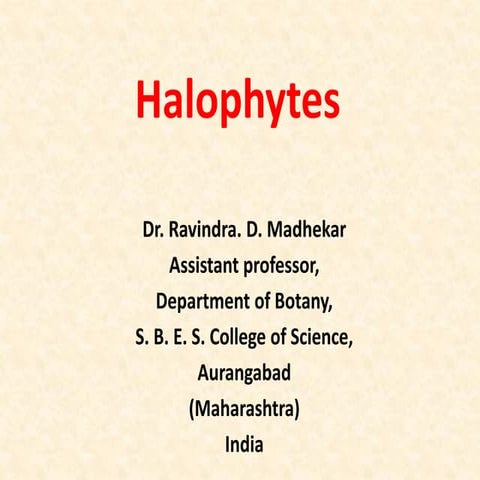 Halophypes | PDF