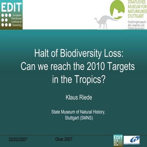 Bambi presentation | PPT