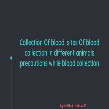 Collection Of blood, sites Of blood collection in different animals | PPTX