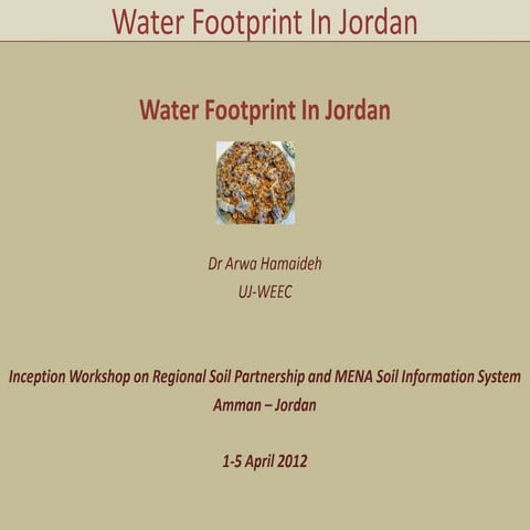 Water Footprint In Jordan by Arwa Hamaideh | PDF
