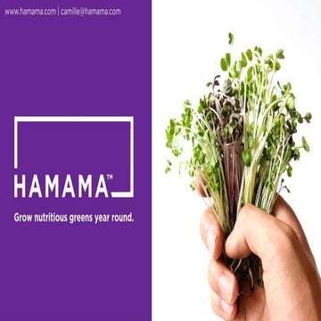 Hamama | PPT
