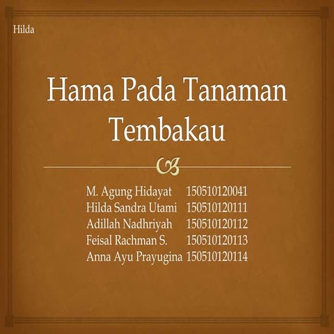 Hama pada tanaman tembakau | PPTX