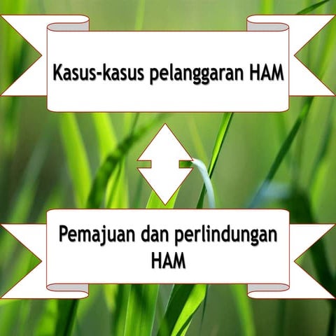 Ham kls x | PPT