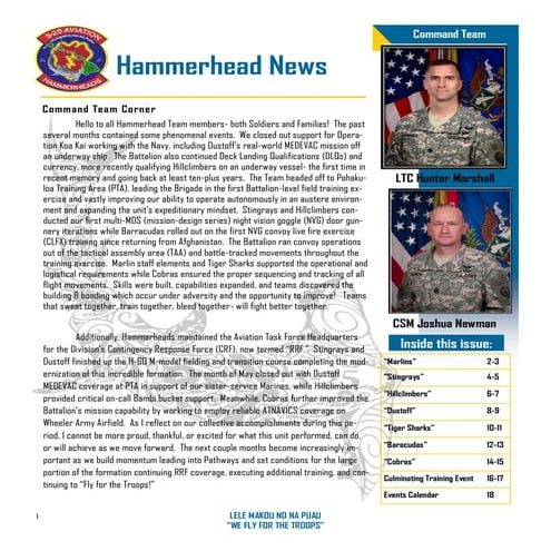 3-25 AVN REGT Hammerhead news | PDF
