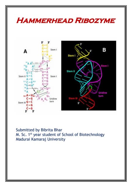 Ribozyme | PPTX