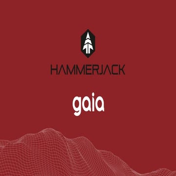 hammer pptx denemeeeeeeeeeeeeeeeeeeeeeee | PPT