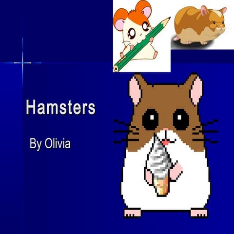 Hamsters | PPT