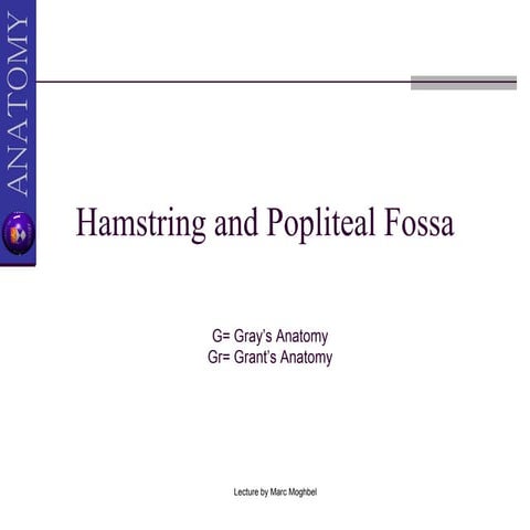 Hamstring And Popliteal Fossa Ii | PPT