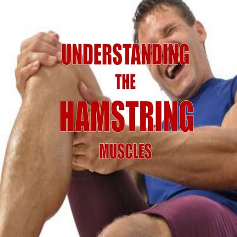 Understanding Hamstring Muscles & Their Role With Stability | PPTX