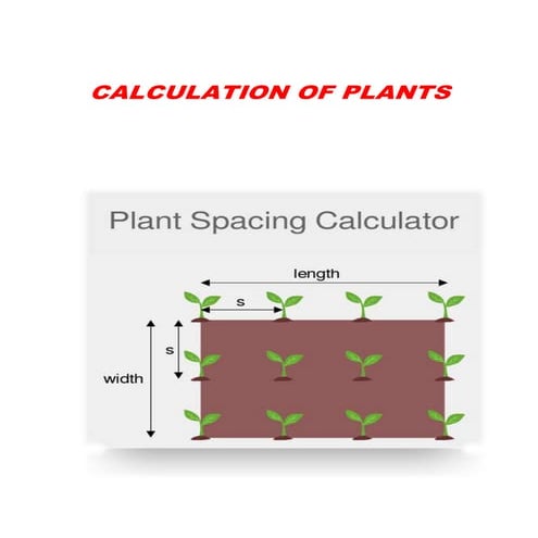 Planting-Systems.pptx
