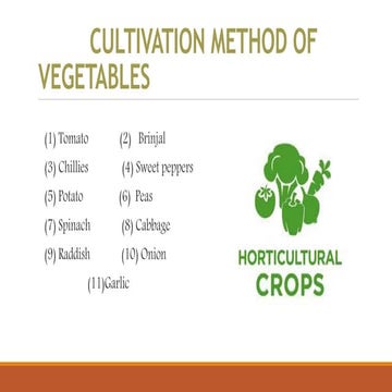 Cultivation method of different vegetables | PPTX