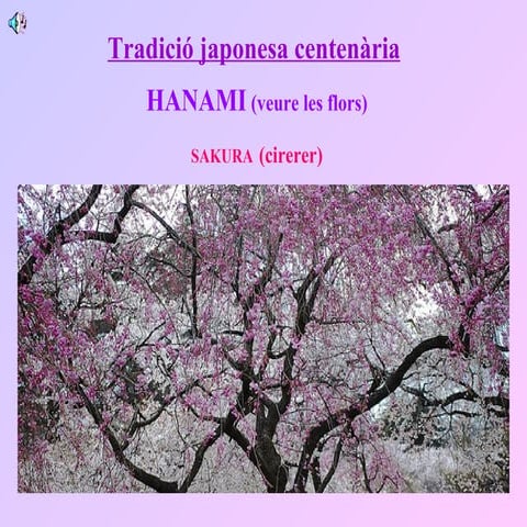 Hanami | PPT