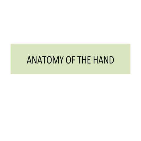 anatomy of the hand muscles | PDF