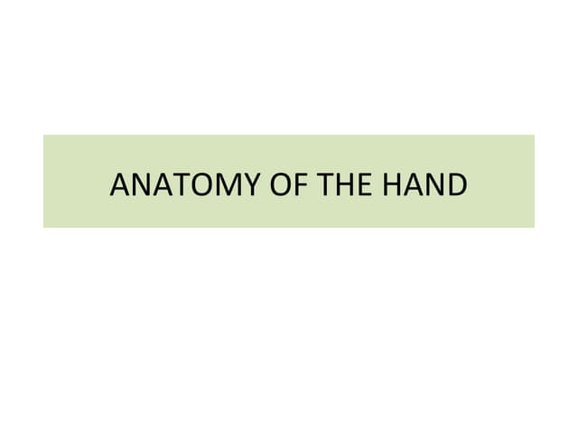 Anatomy of hand-1.pptx
