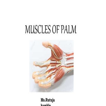 Palm of hand-MUSCLES,BLOOD SUPPLY AND NERVE SUPPLY | PPTX