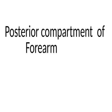 Anatomy of forearm | PPTX
