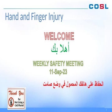 Hand-Finger Injury - Campaign for incident | PPTX