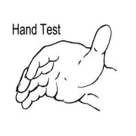 Hand test | DOCX