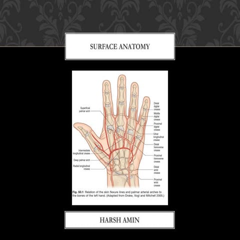 Extensor apparatus hand | PPT