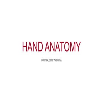 Anatomy of hand with blood supply and nerves supplying the forearm and ...
